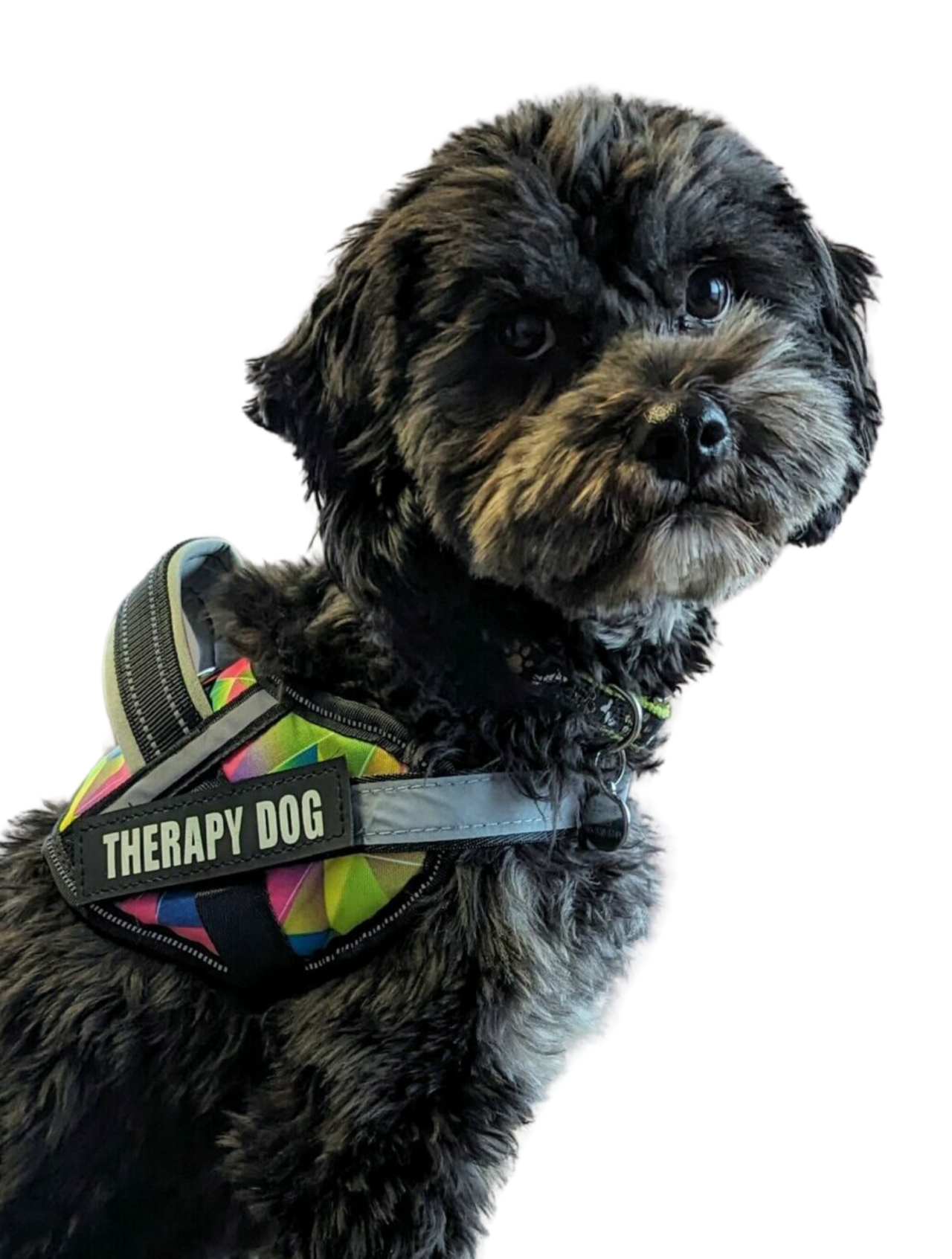 Physical Therapy Services of Rochester NY